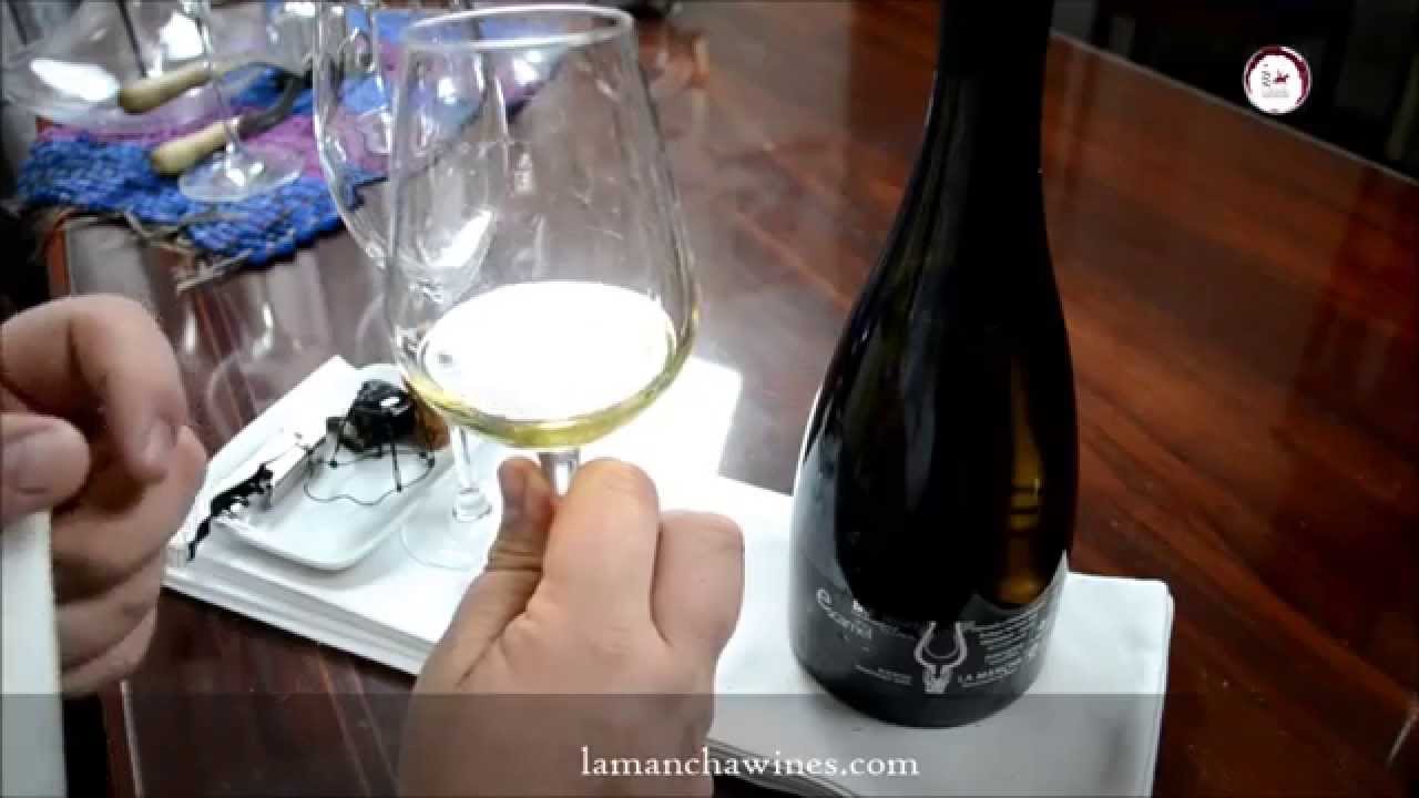 videocata de Viña Escamel Brut Nature - YouTube