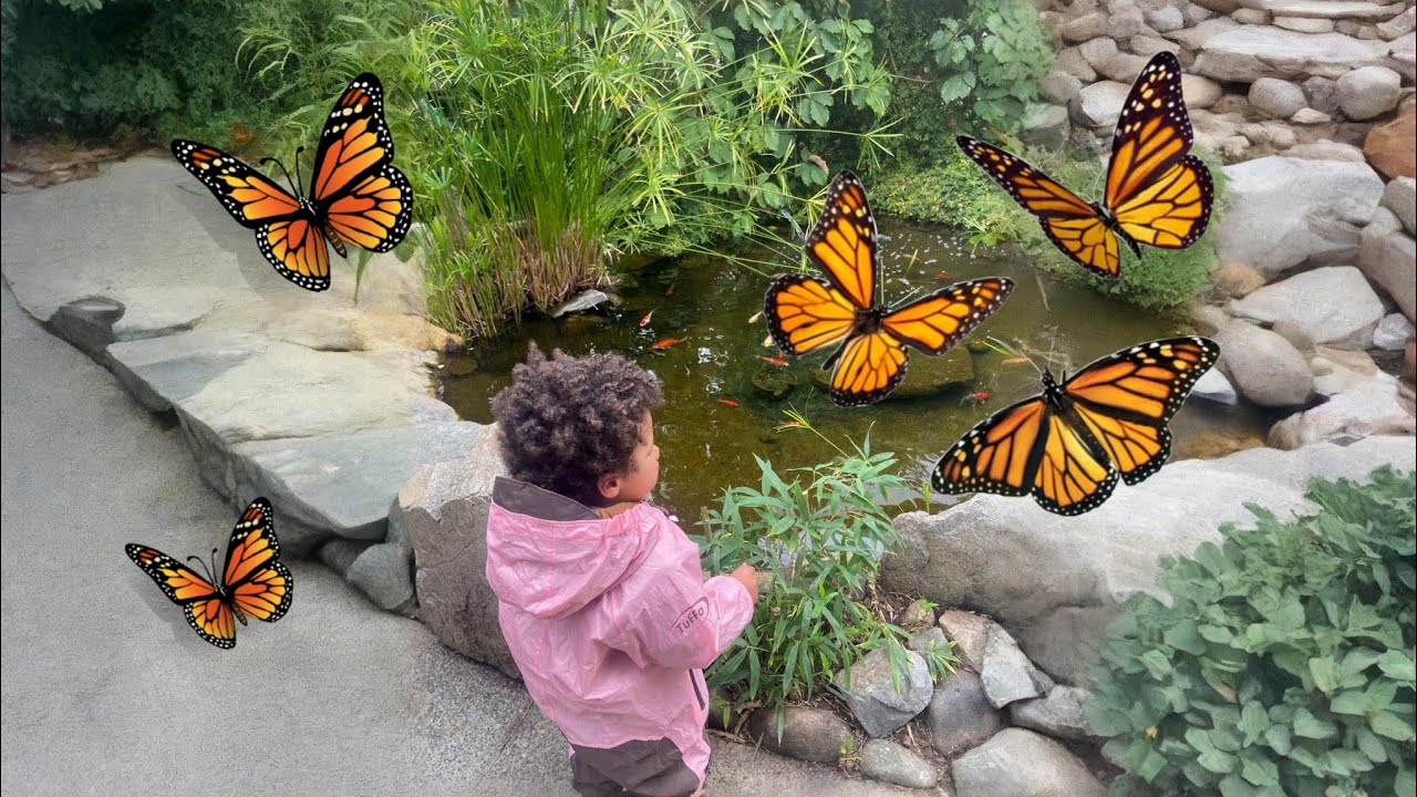 🦋 4-Year-Old Explores Butterfly Farm with Baby sister! | learning ...