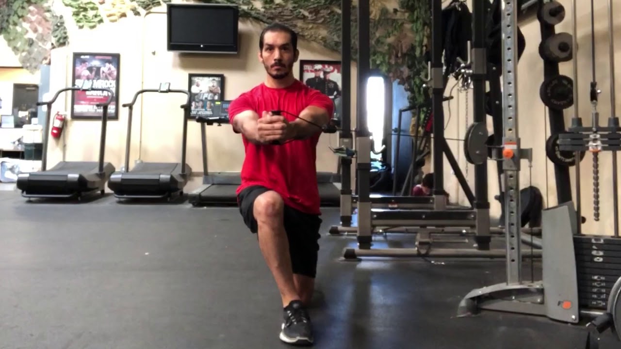 Cable 1/2 Kneeling Anti-rotation Press-out - YouTube