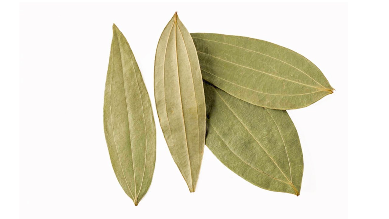 Health Benefits Of Bay Leaf | মাত্র ১ দিনেই চুল পরা বন্ধ করবে তেজপাতা ...