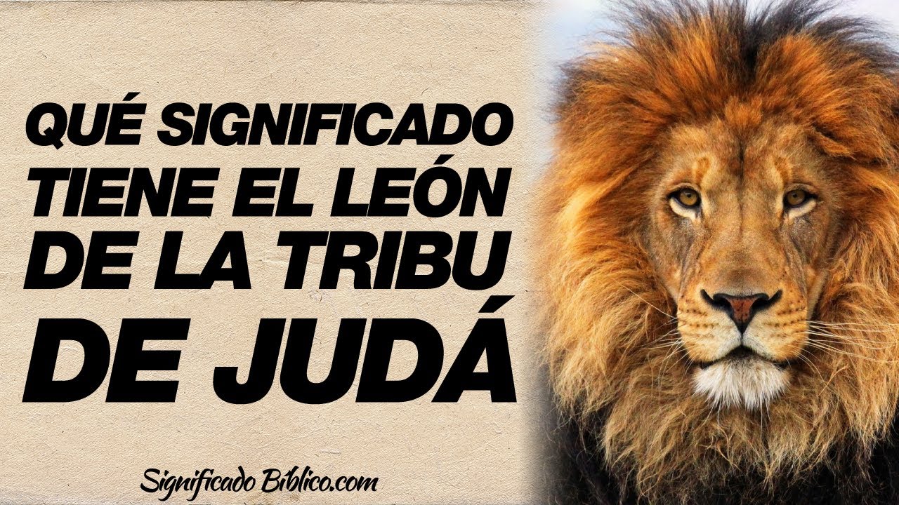 🙏 ¿Qué significado tiene el León de la tribu de Judá? 🙏 - YouTube