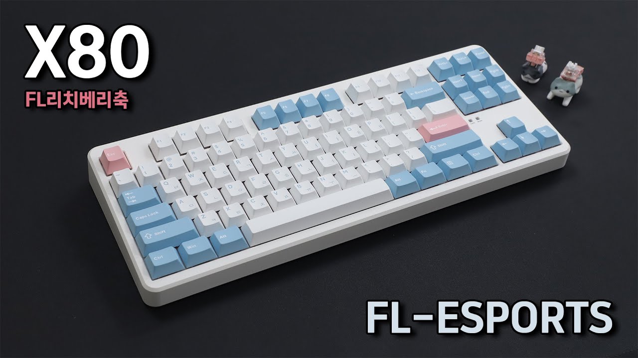 가성비? 갓성비!? FL-ESPORTS X80 완제품 (FL리치베리축) - YouTube