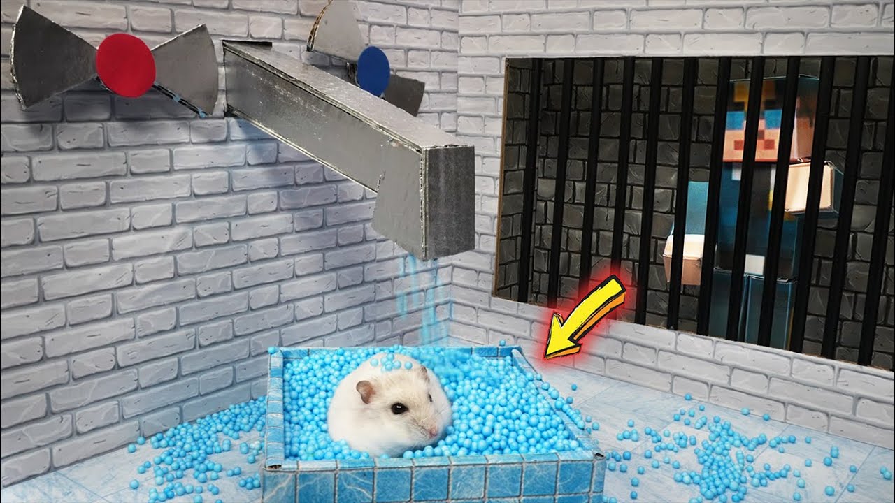 🐹Hamster Escapes the Awesome Sink Maze Obstacle Course🐹 for Pets in ...