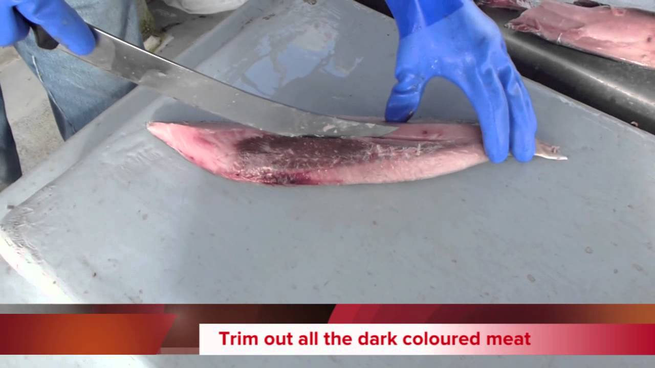 Loining Tuna with John Mauriks - YouTube
