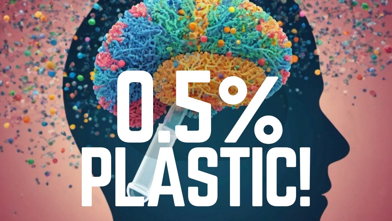 Surprising Levels of Plastic | New Human Brain Study Reveals - YouTube