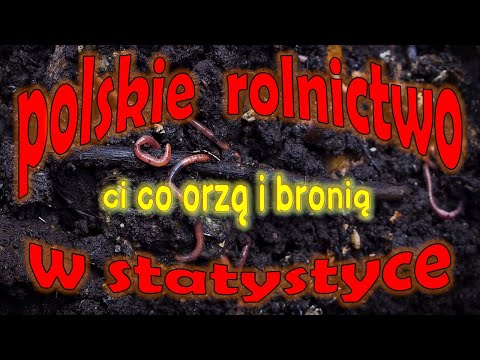 Polskie rolnictwo w statystyce