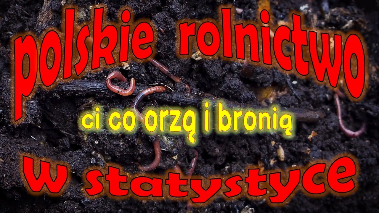 Polskie rolnictwo w statystyce - YouTube
