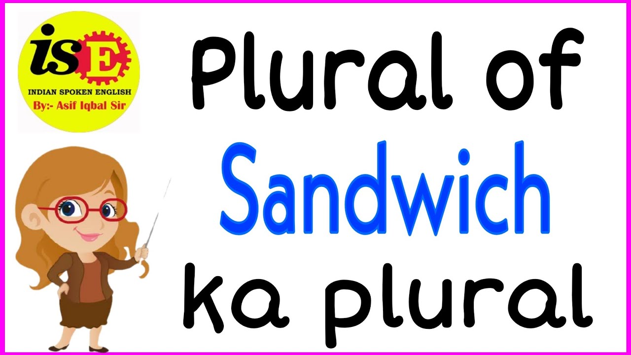Plural Of Sandwich Sandwich Ka Plural Sandwich Plural Word
