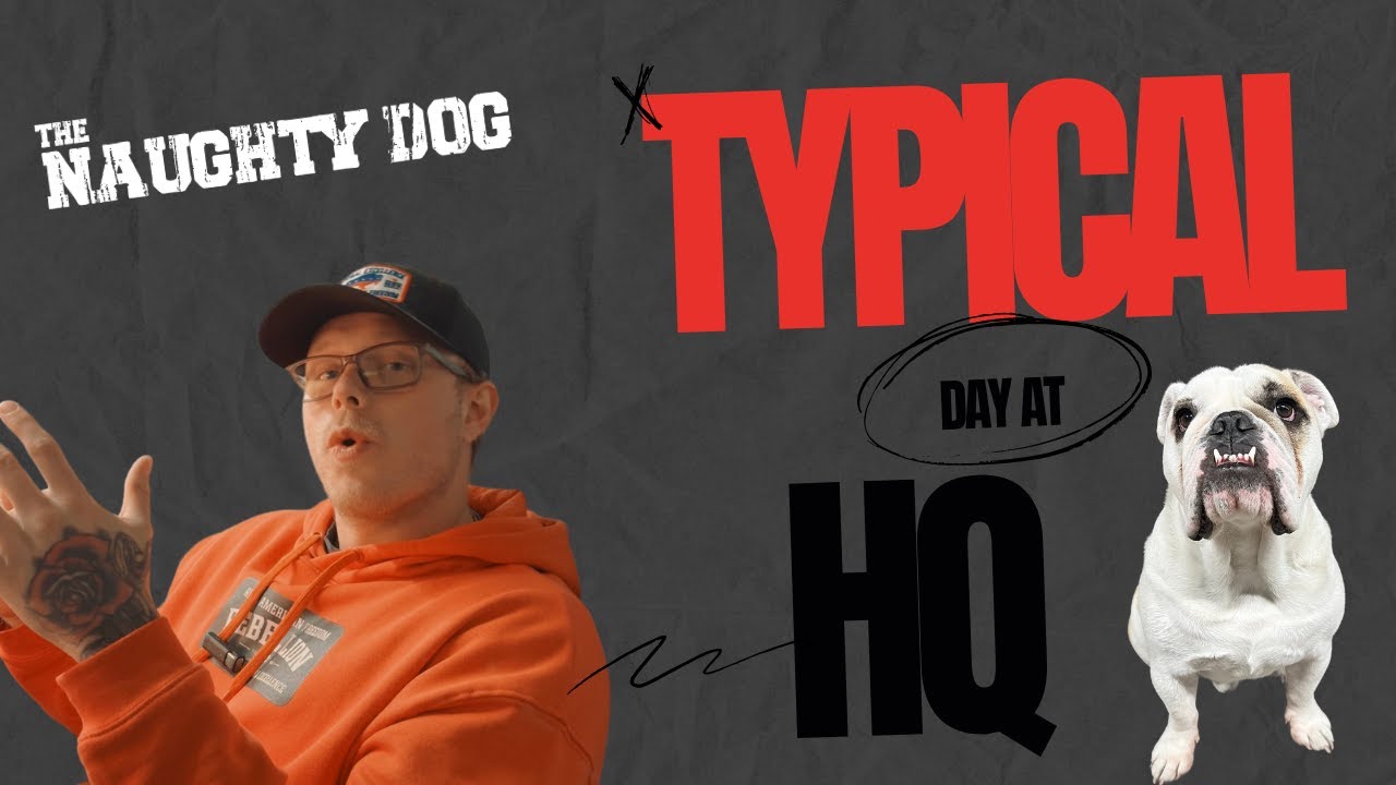 Typical day at the naughty dog HQ - YouTube