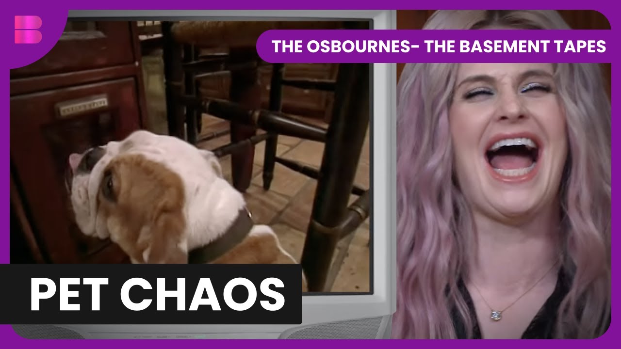 When Dogs Take Over Your Rock Star Home | The Osbournes- The Basement ...