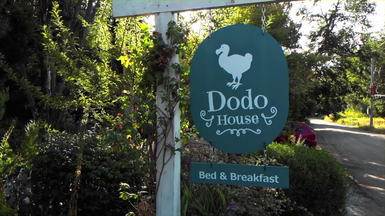 Dodo House - YouTube