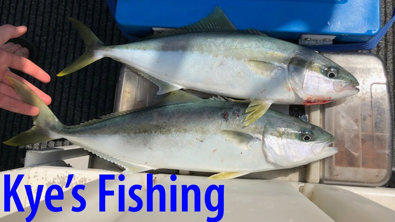 Day in the Ocean Catching King Fish - YouTube