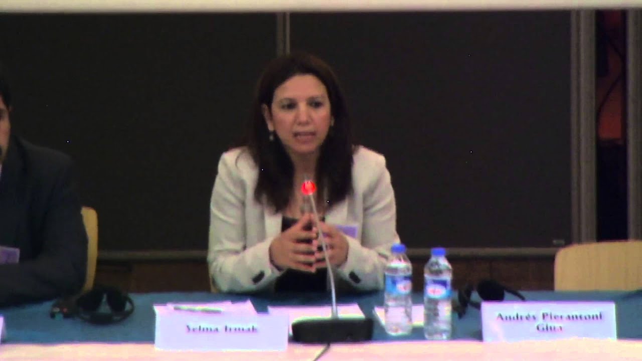 Selma Irmak: Bakûr - Ji dewletê ber bi demokratiyê ve (2015) - YouTube