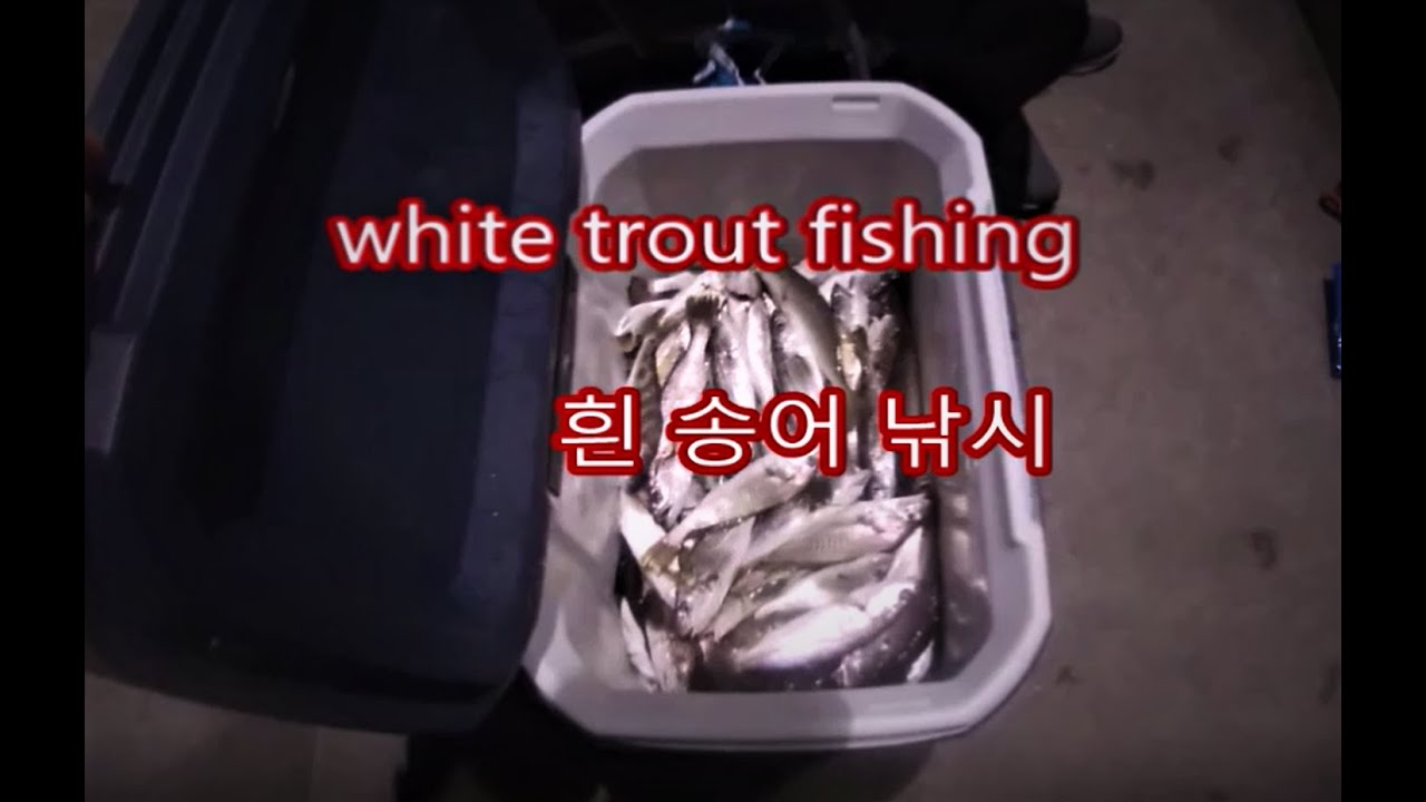 white trout fishing 흰송어 낚시. #biloxi - YouTube