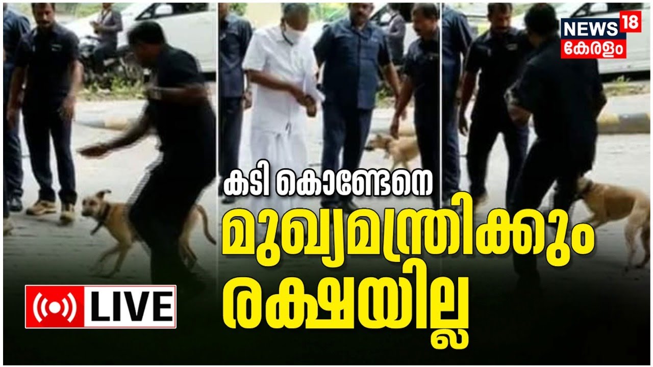 LIVE : Pinarayi Vijayan Attacked by Stray Dog | Rabies Death | Kerala ...