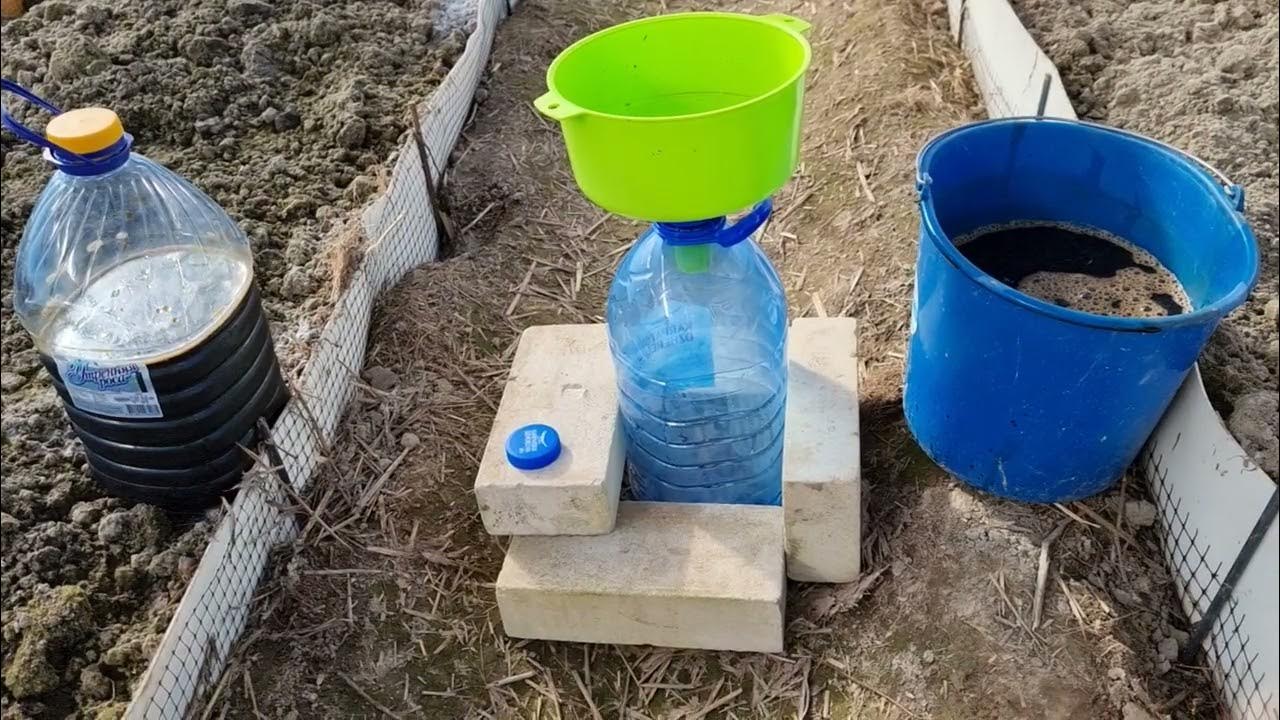 Самое лучшее органическое удобрение для рассады и всех растений ...