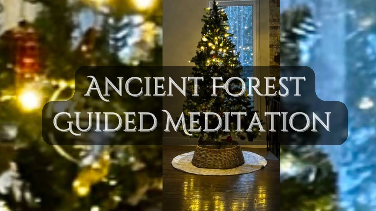Grounding Ancient Forest Reiki Infused Guided Hypnosis for the ...