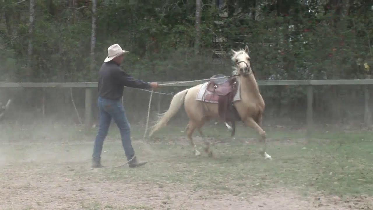 Children's first pony runs off in transitions. - YouTube