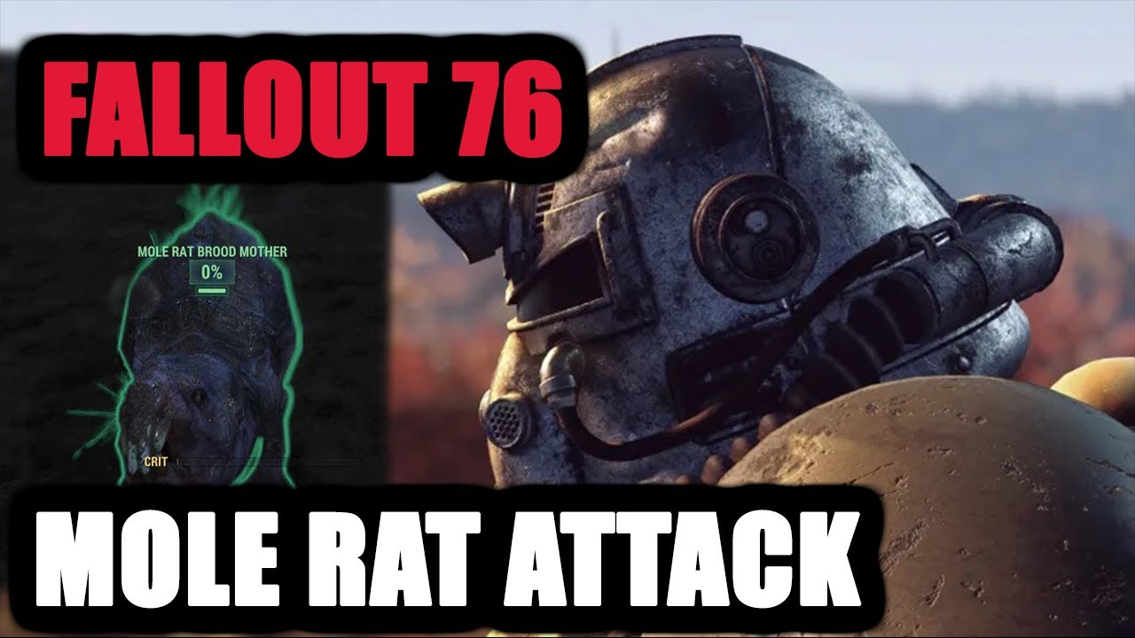 Fallout 76 - Mole Rat Attack - YouTube