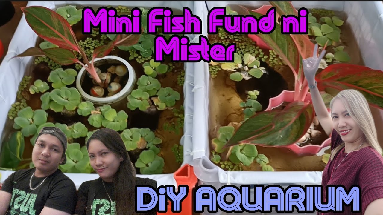 MINI FISH FUND + DiY AQUARIUM ni Hubby #viral - YouTube