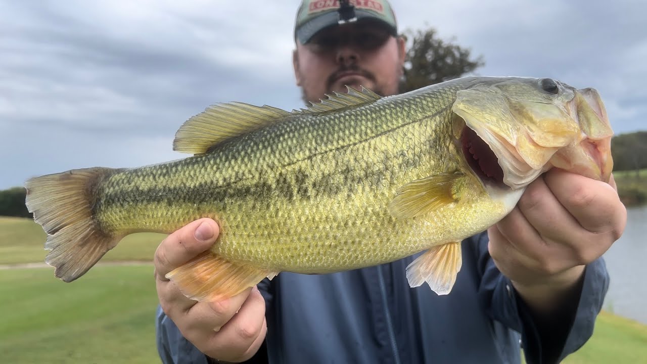 MONSTER BASS Caught In FLOOD WATER (INSANE) - YouTube