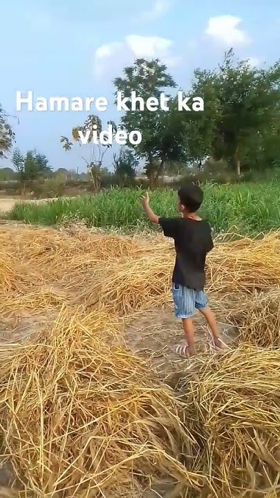 hamare khet ka video short - YouTube