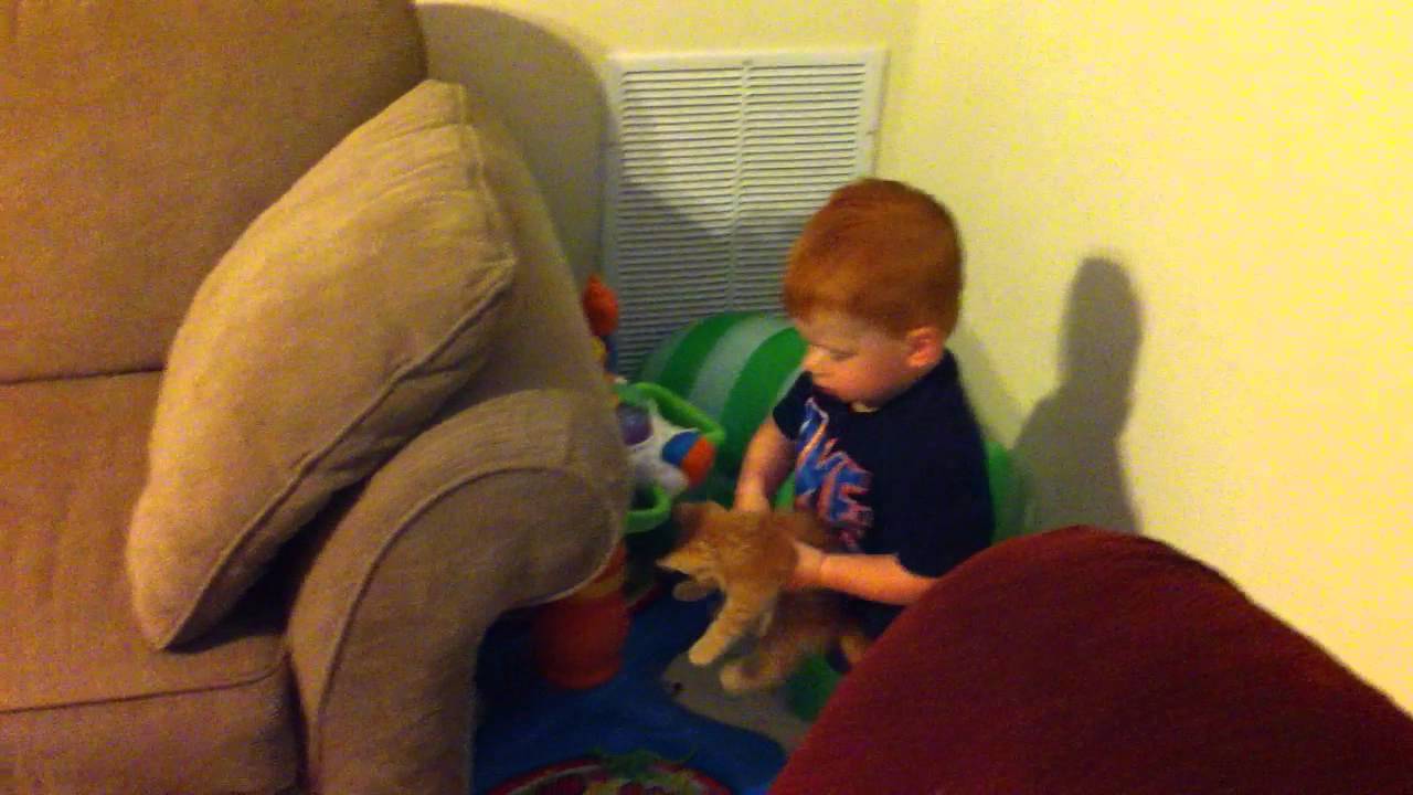 JB demostrates how to carry a stray cat... - YouTube