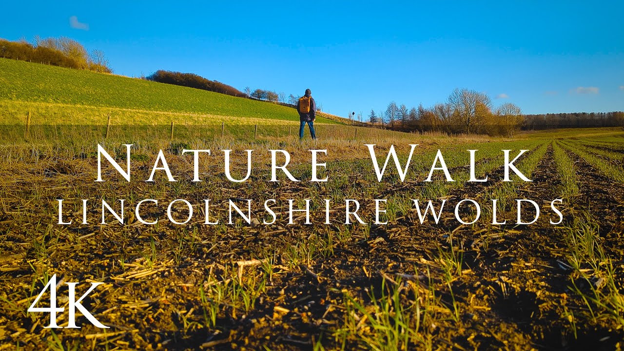 Virtual walk in English Countryside, views, ponds and geese, footstep ...
