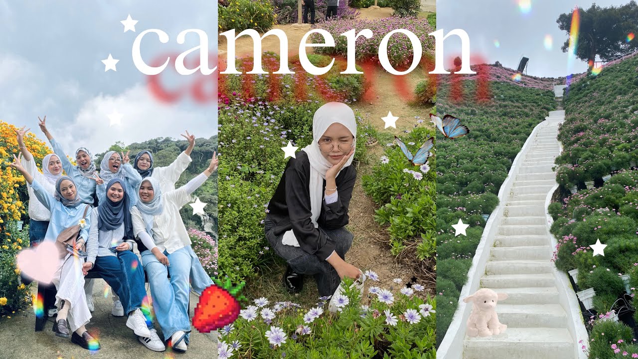 BEFORE GOING INTO COLLEGE TRIP | sheep, floral park & lots of yapping 🍓 ...