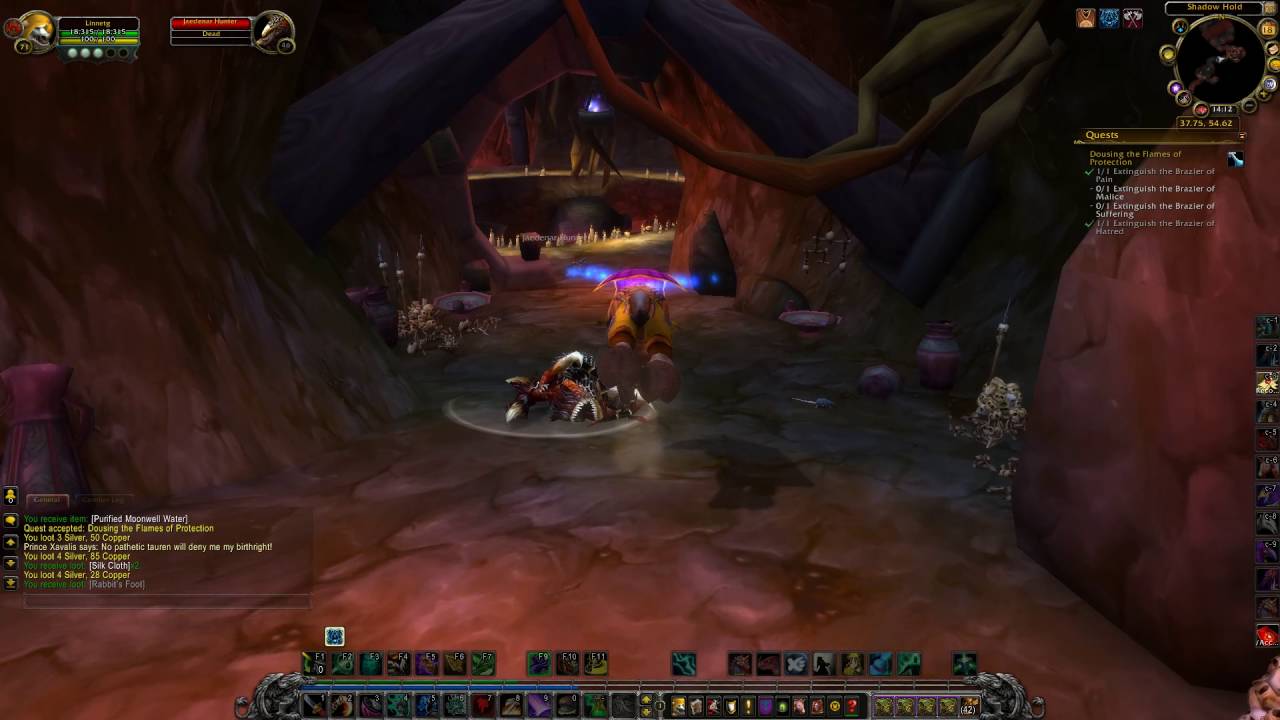 Dousing The Flames Of Protection Quest ID 28126 Playthrough Felwood ...