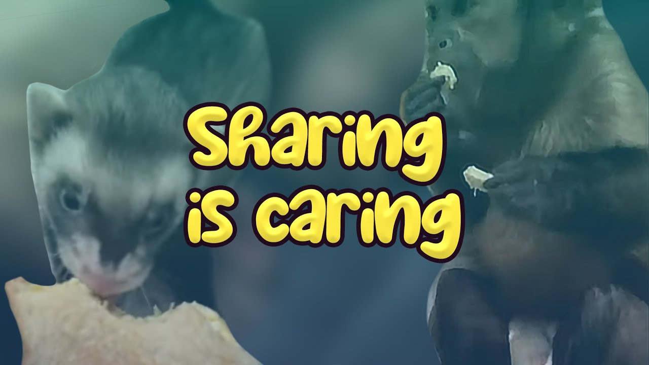 Gaitlyn's Nite Nite Ritual! (SNACKS + A MONKEY FOOT RUB) 🐒🌜♥️ - YouTube