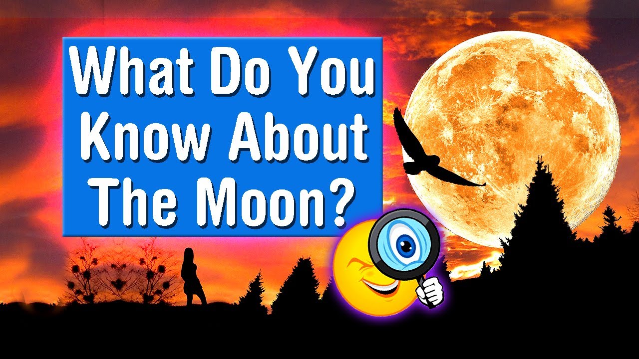 The Majestic Moon's hidden secrets! - YouTube