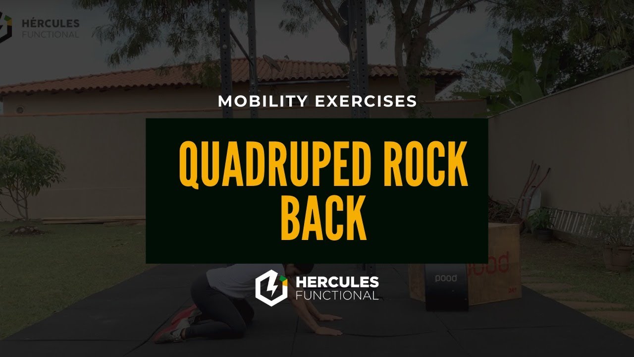 Quadruped Rock Back - YouTube