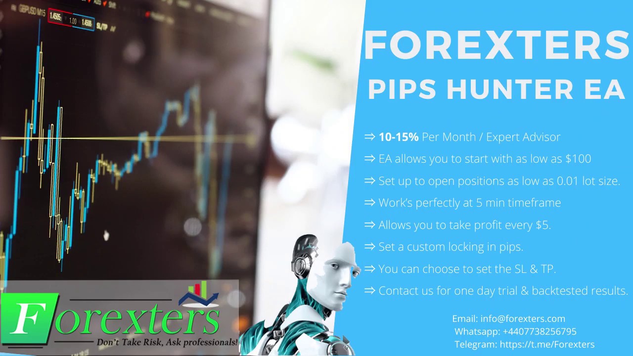 Pips Hunter Expert Advisor - YouTube