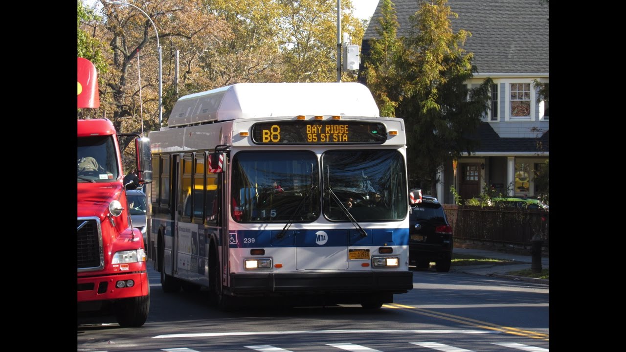 MTA NYCT Bus: New Flyer C40LF #239 on the B8 - YouTube