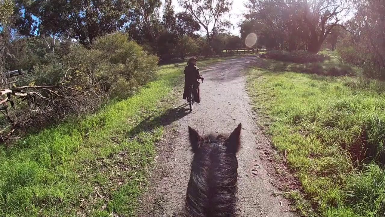 Horse Lesson || In Real Life || Riding vlog 2 - YouTube