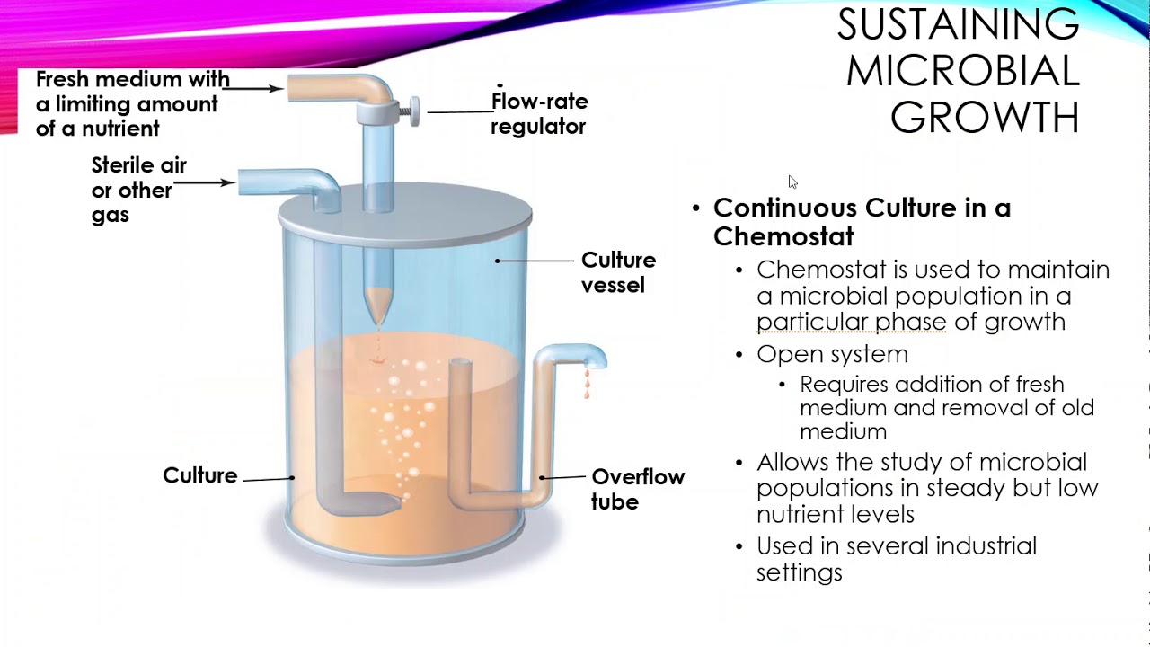 2117 Ch 09 Microbial Growth - YouTube
