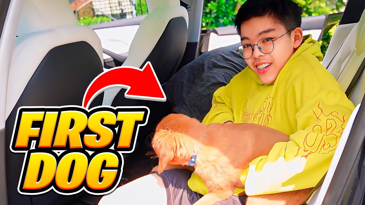 ASIANJEFF BOUGHT A NEW DOG 🐶 - YouTube