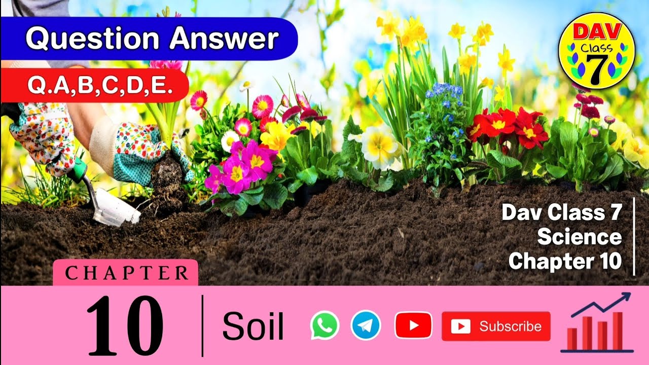 DAV Class 7 Science Chapter 10 A B C D And E All Question Answer YouTube dav-class-7-science-chapter-10-a-b-c-d-and-e-all-question-answer-youtube