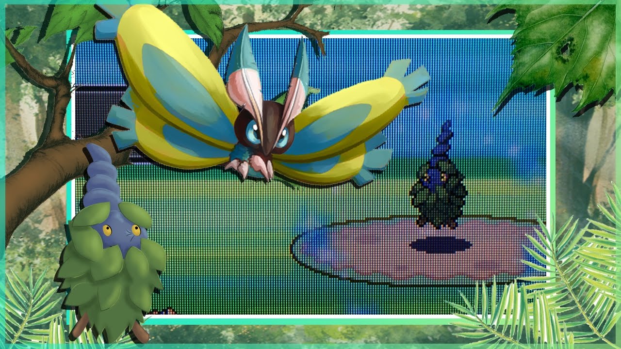 [DTQ #3] LIVE!!! (+ Evolution) SHINY MALE BURMY!!! after 8,460 SR's in ...