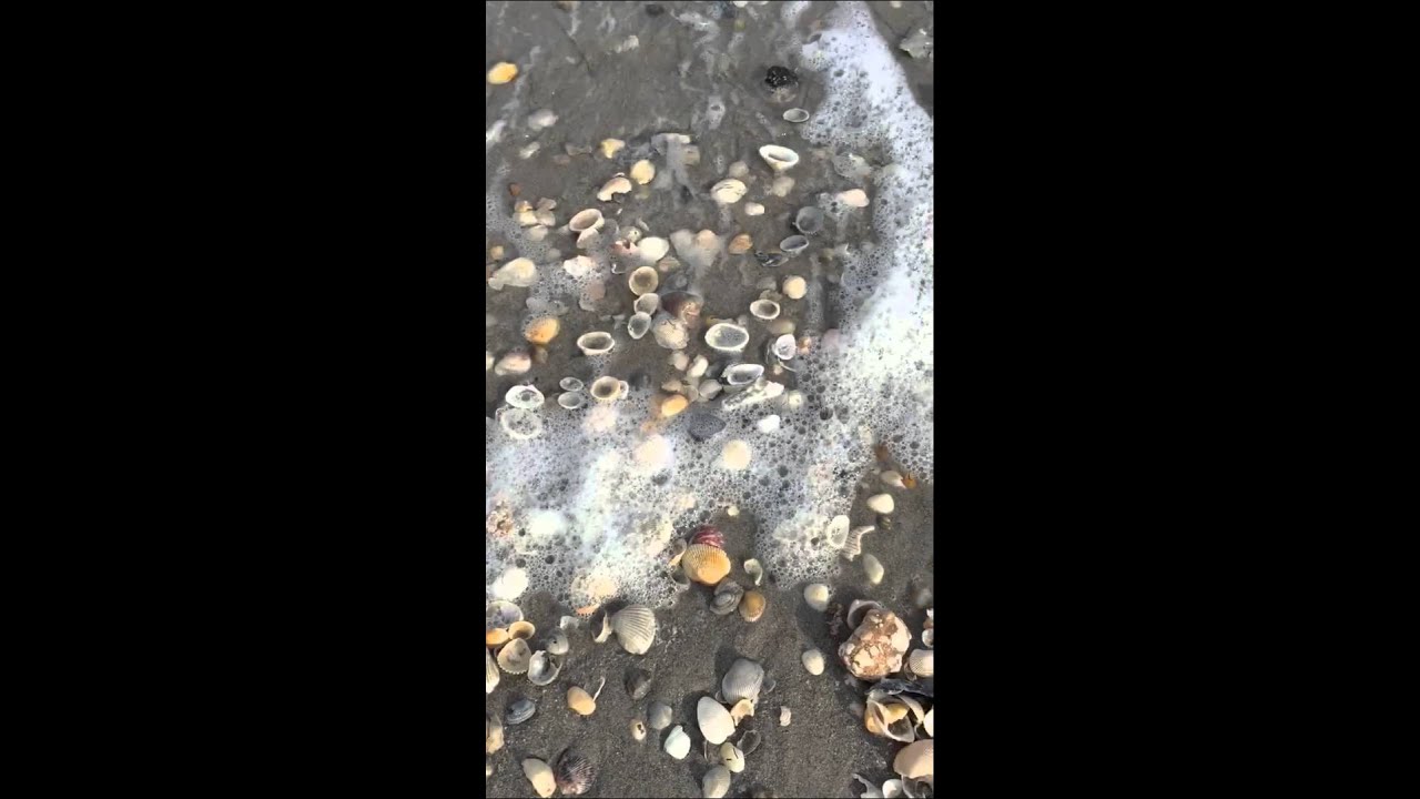 Cocoa Beach Florida shells surf waves - YouTube