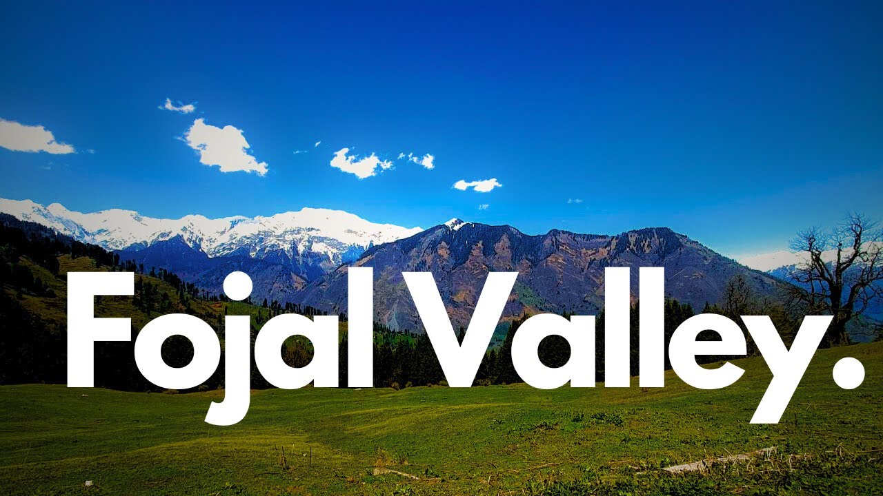 got lost in the woods | Fojal | Himachal Pradesh | 2023 - YouTube