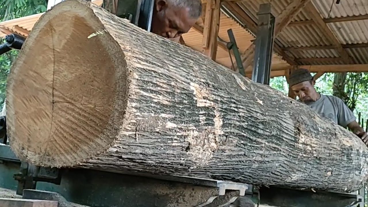 satisfy the people's teak wood cutting at the mill - YouTube