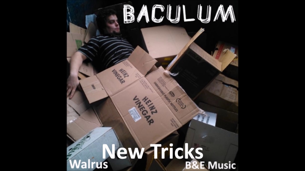 Walrus the Human - New Tricks - YouTube