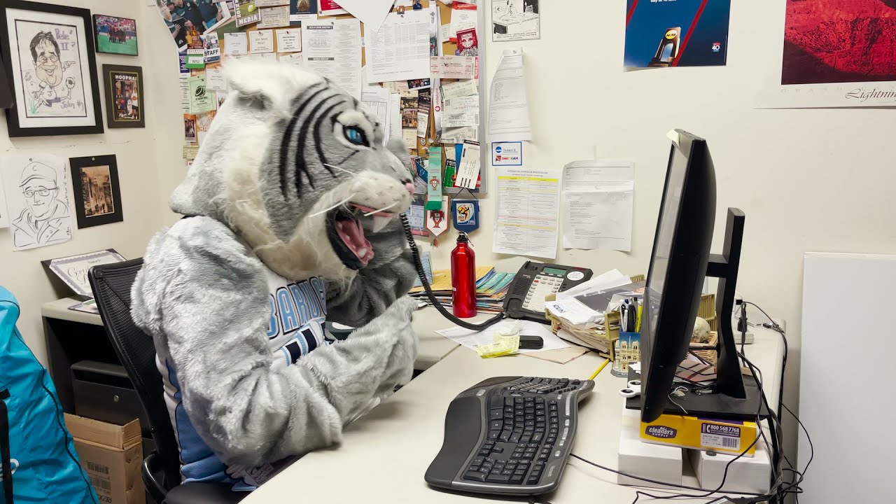 2021 Baruch Bearcat Mascot Name Reveal - YouTube