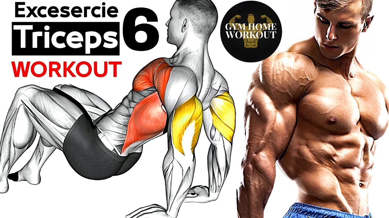 "Top 6 Exercises for triceps Muscle Growth " #triceps #gym #fitness 🔥 ...