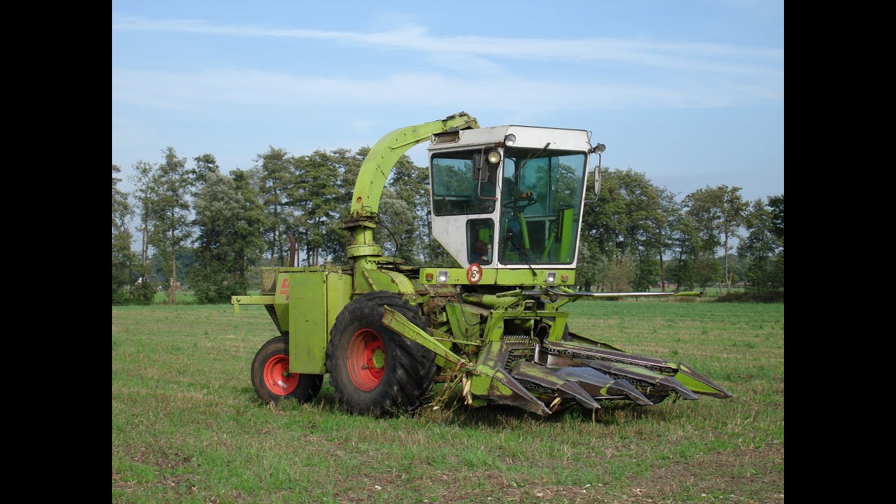 Claas Jaguar 80SF | Mais hakselen | 2006 | Kootwijkerbroek ...