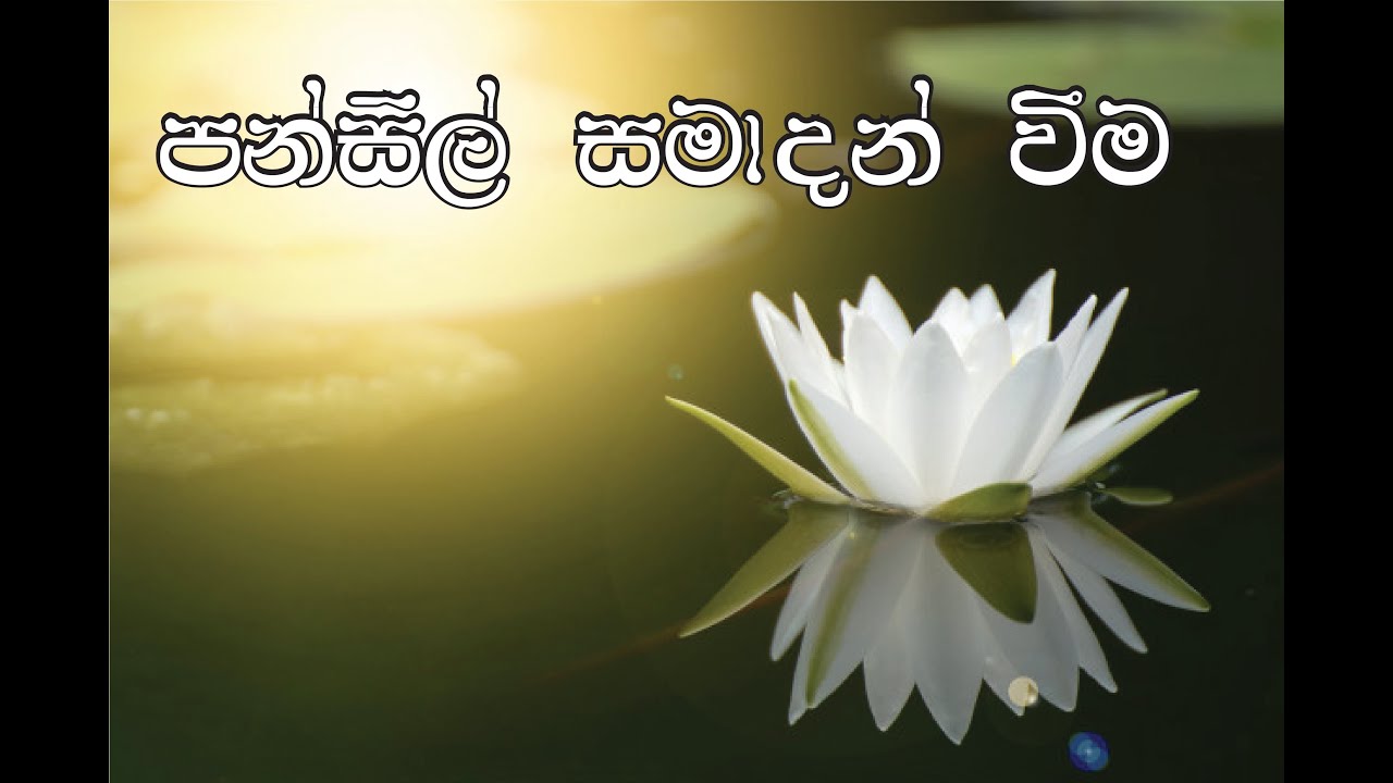 Pansil samadan weema (පන් සිල් සමාදන් වීම) - YouTube