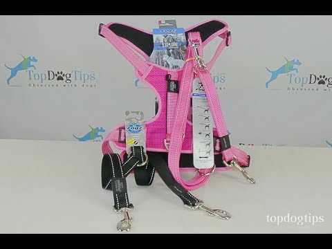 Rogz Dog Harness and Leash Review - YouTube