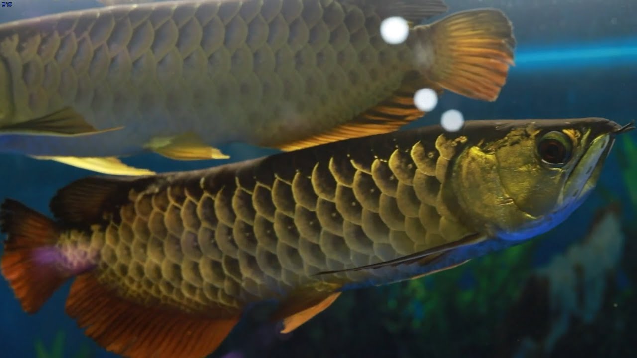 the chinese flea market in 2023 - YouTube